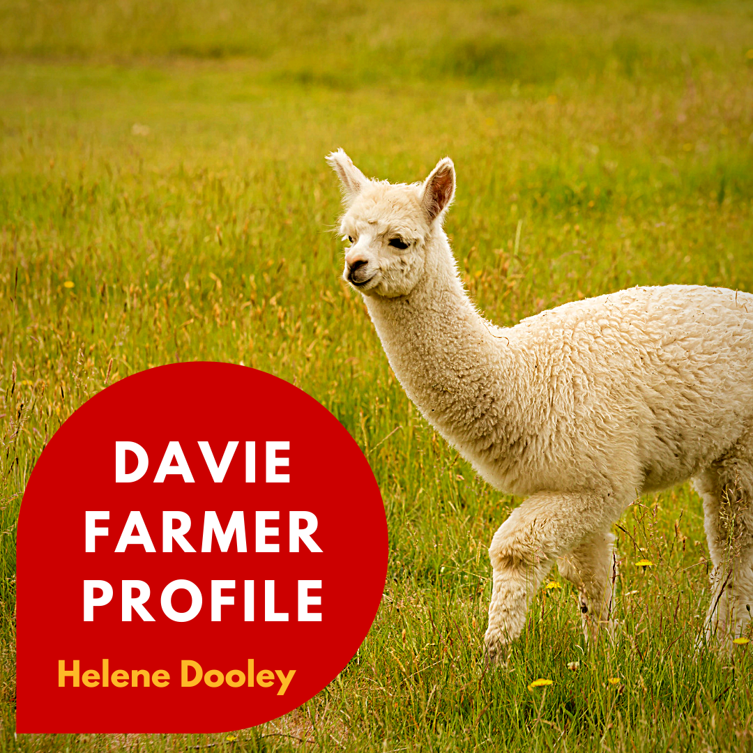 Colleen Church - County Extension Director, Family & Consumer Sciences ...